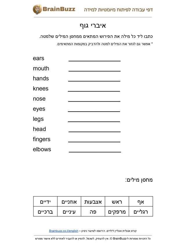 איברי גוף באנגלית דף עבודה באנגלית Brainbuzz דפי עבודה לילדים להדפסה